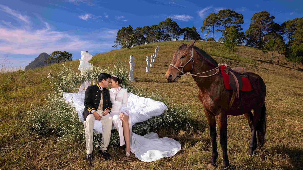 T & P Prewedding Film #lovediaryweddingprofessional - YouTube