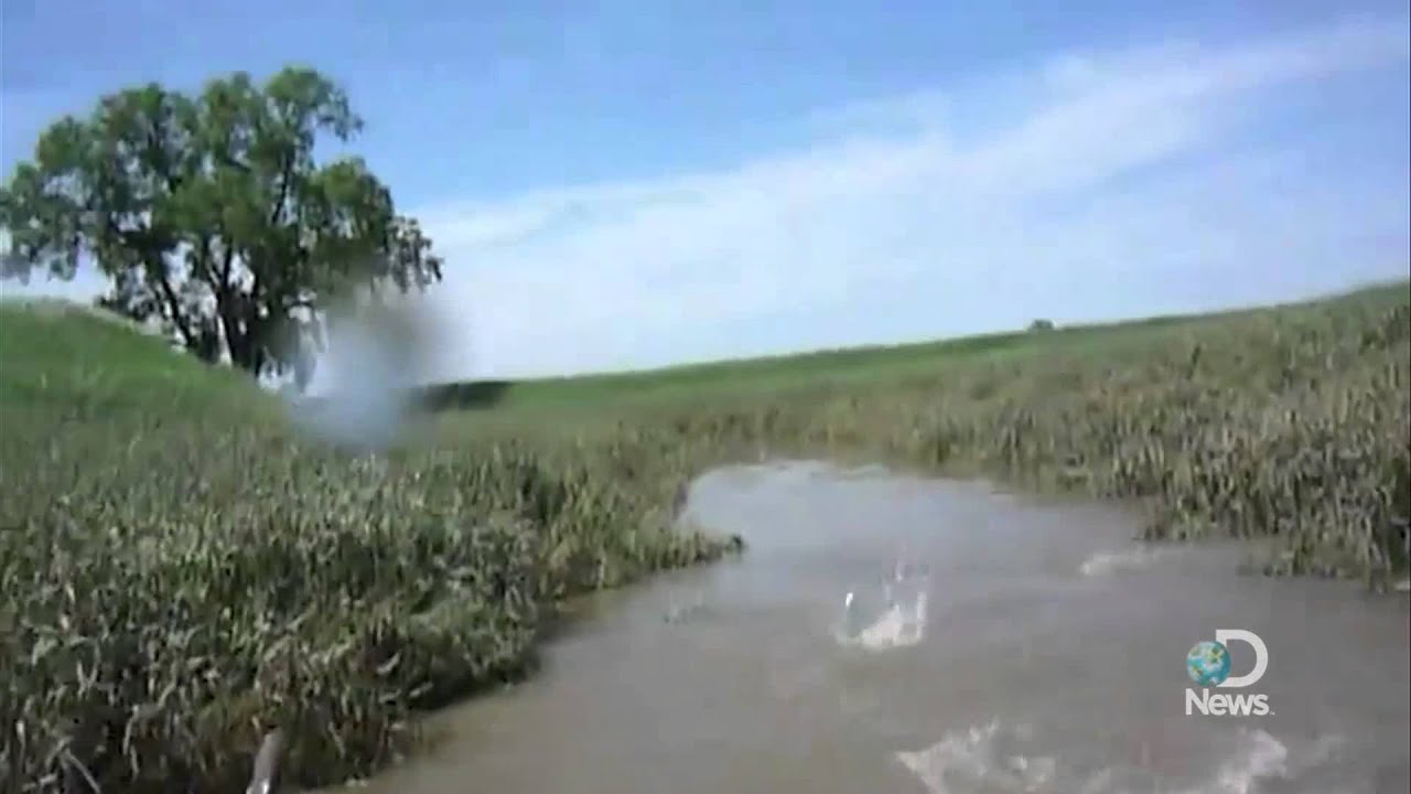 Jumping Carp Attack Explained - YouTube