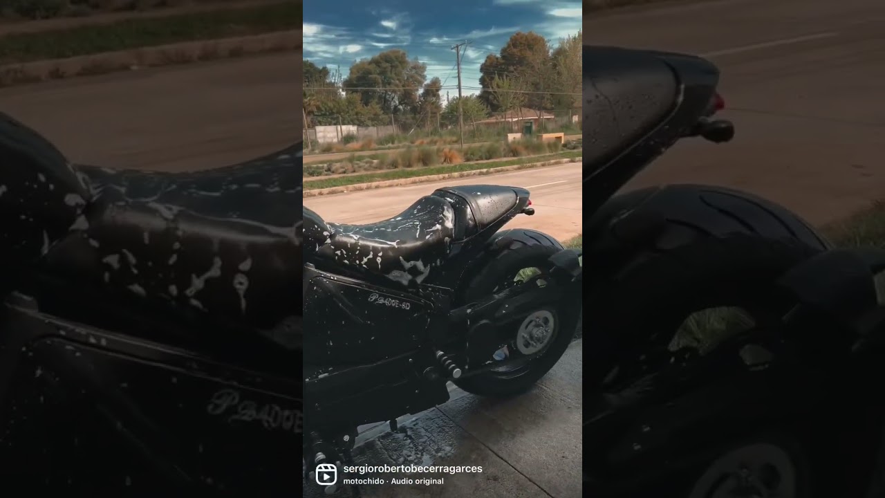 Pilder#400 #leonartpilder #regalraptor #losangeleschile mantenimiento a ...