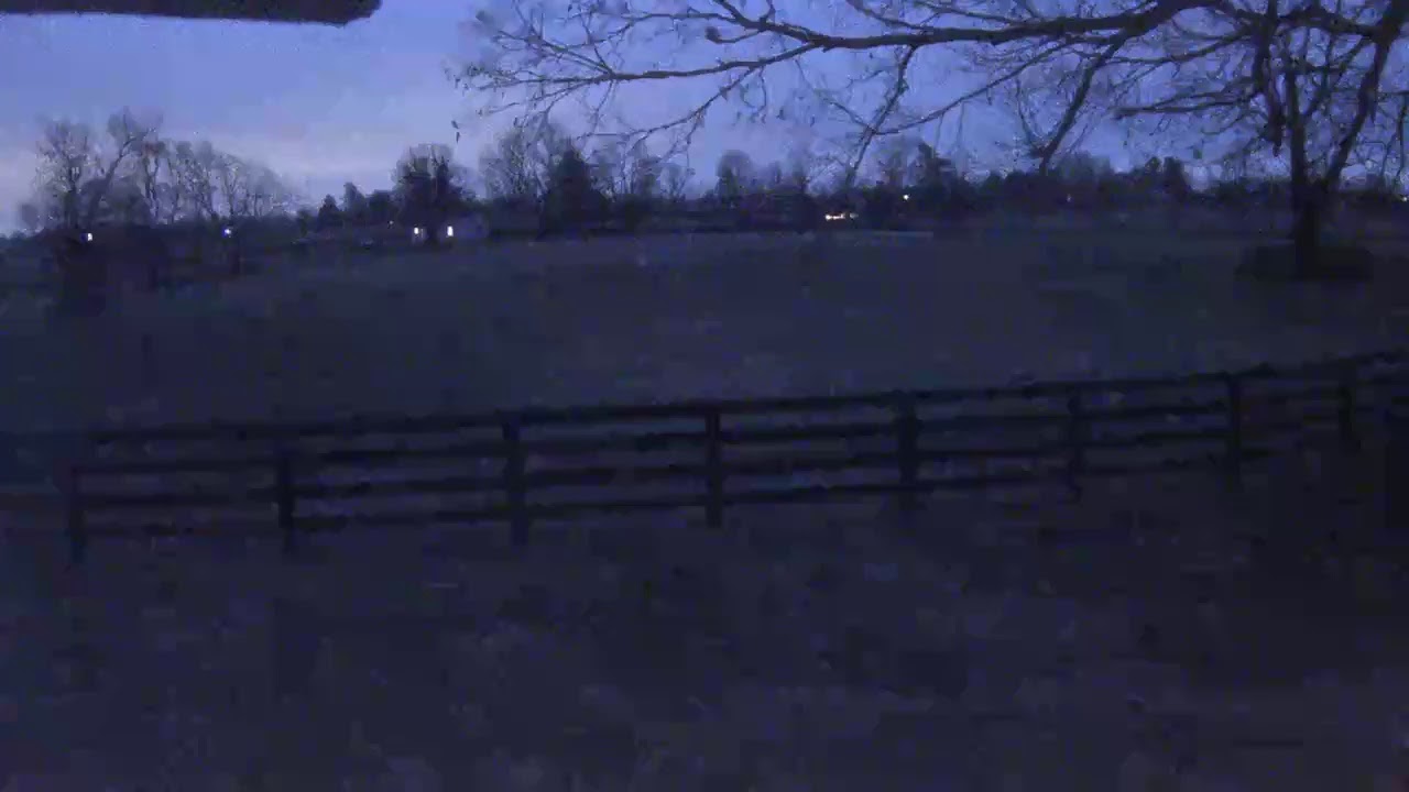 Magical World Paddock - YouTube