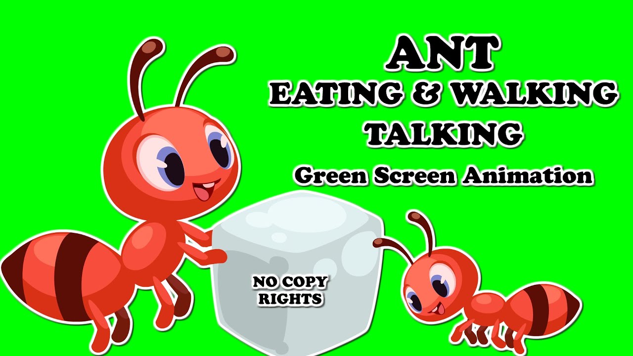 Ant Walking, Talking & Eating Green Screen Animation #Ant walking # ...