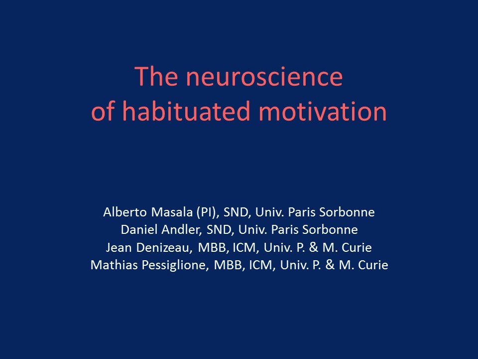 The Neuroscience of Habituated Motivation - YouTube