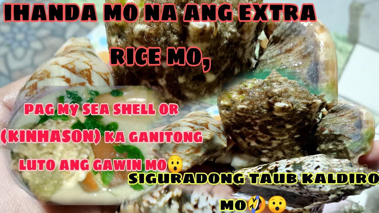 GANITONG LUTO ANG GAWIN MO SA SEA SHELL MO OR SA KINHASON,SIGURADONG ...