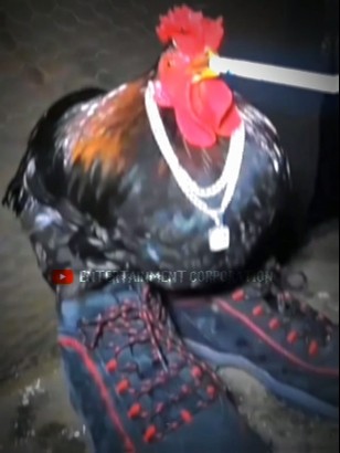 Chicken with drip edit #chicken #drip #edit #edits #fyp - YouTube