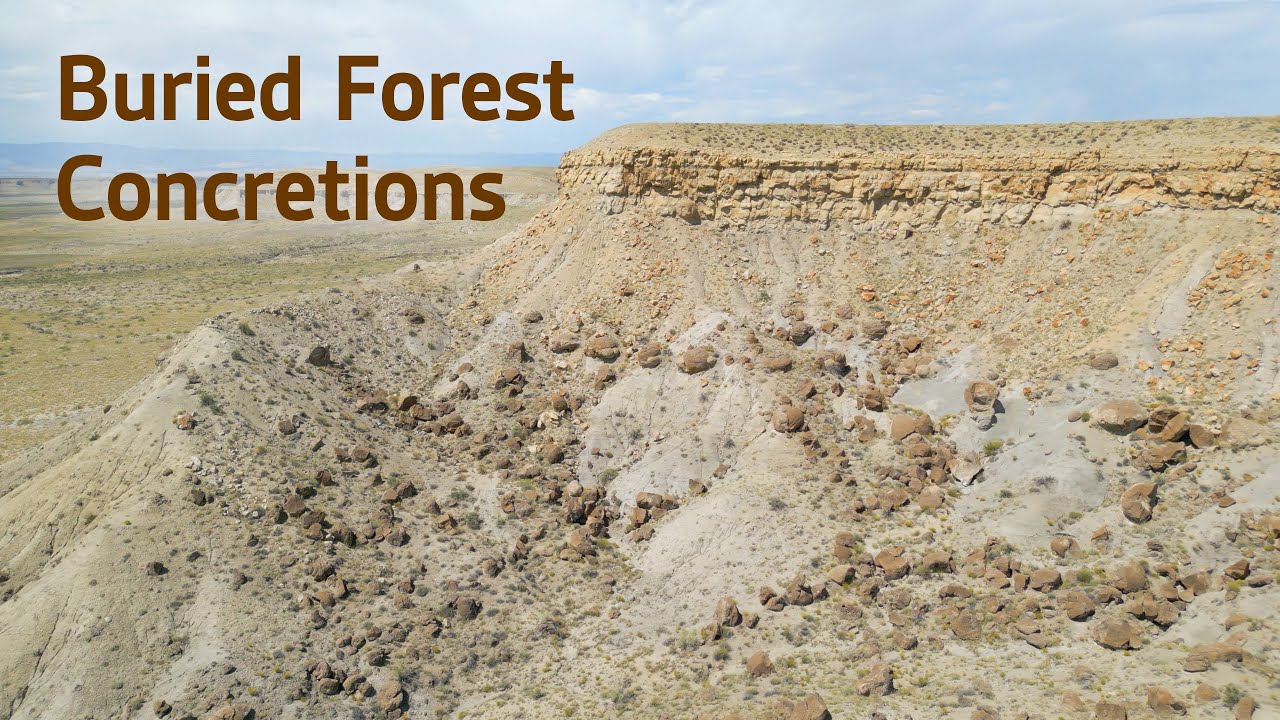 Buried Forest Concretions Field Trip - YouTube