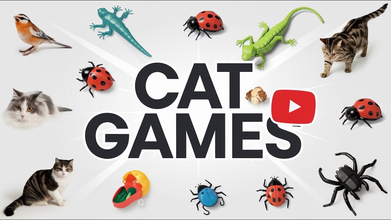 CAT TV COMPILATION | ULTIMATE VIDEOS COLLECTION FOR CATS | TV FOR ...