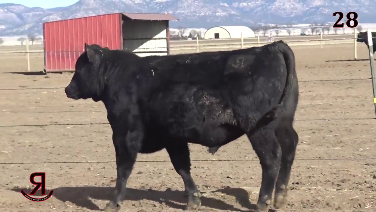 Reverse Rocking R Ranch Lot 28 - YouTube