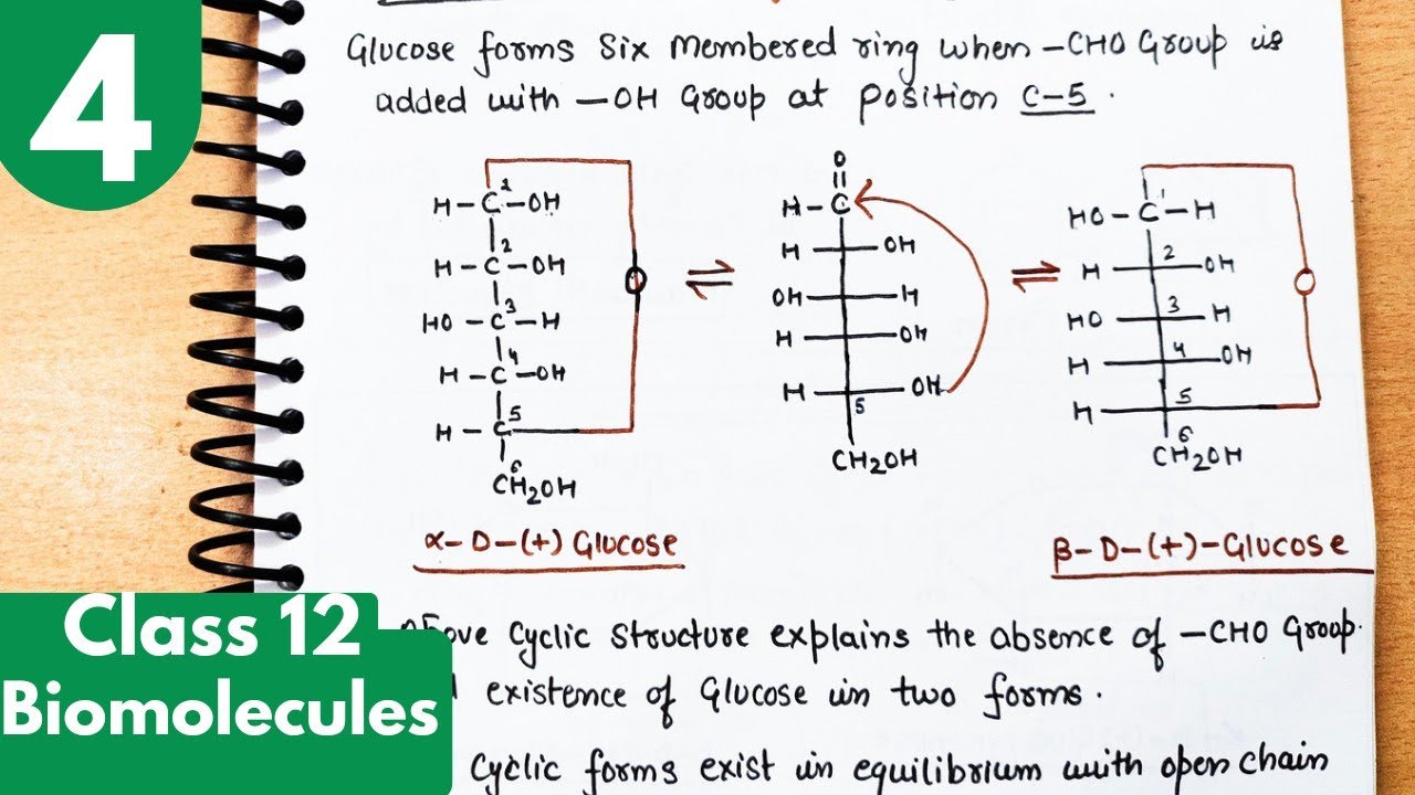 4) Cyclic structure of Glucose| Anomers| Biomolecules Class12 chemistry #neet #jee #ncert - YouTube
