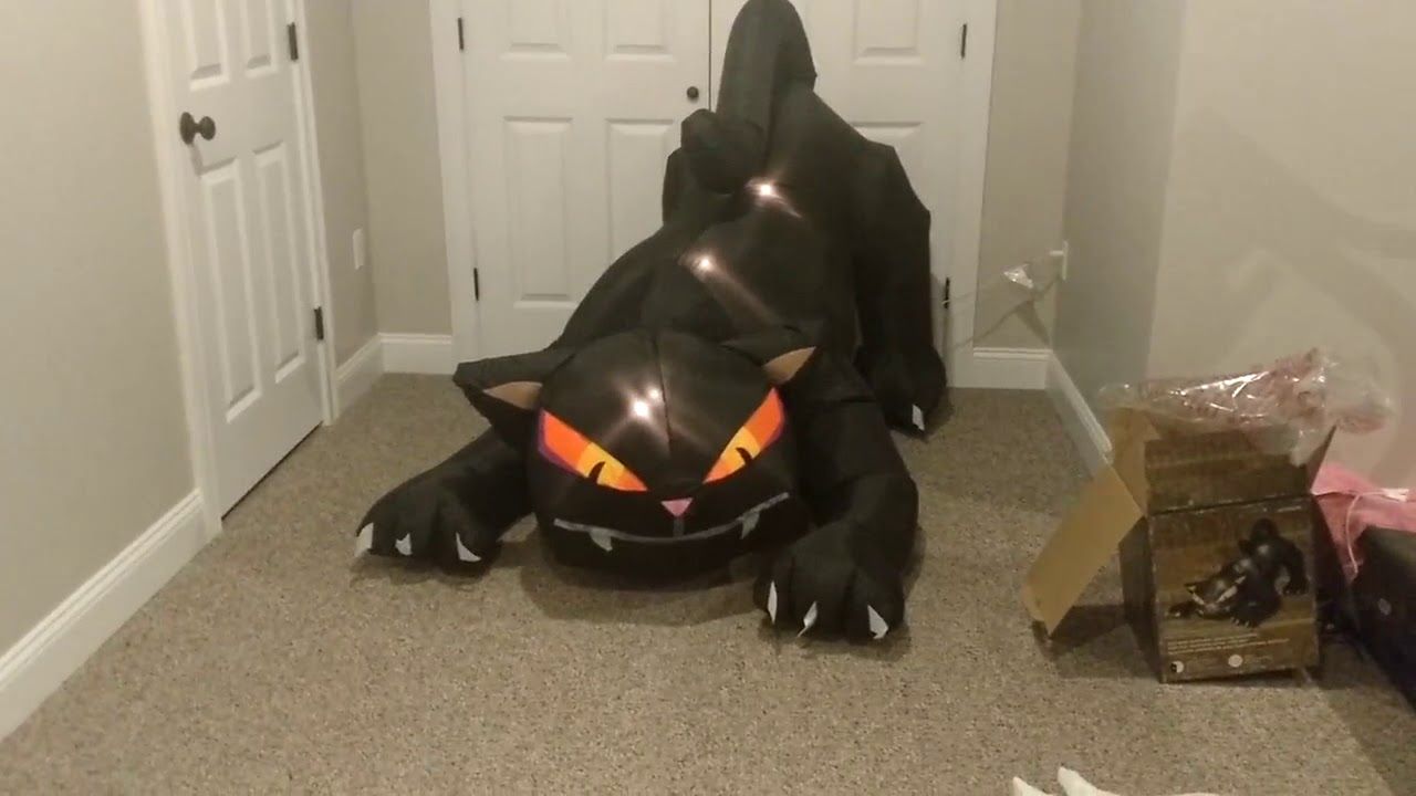 6' Animated Halloween Black Cat Turning Head by Gemmy Inflatable - YouTube