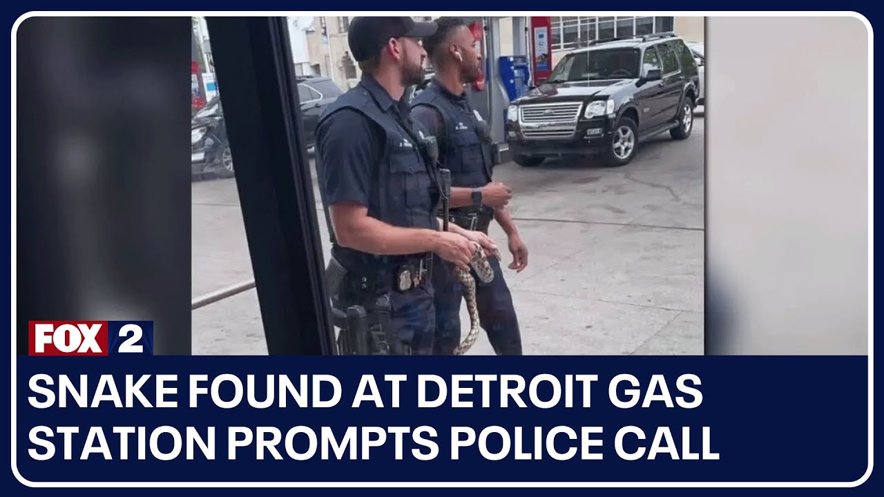 Unsettling: Snake found at Detroit gas station prompts police call ...