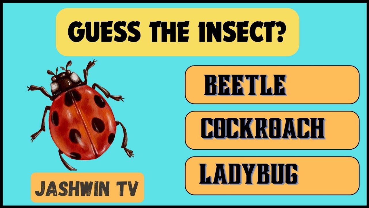 Sunday Quiz! Guess the Insect 🐞🦋 | Jashwin TV - YouTube