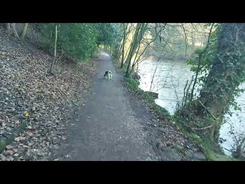 my 2 babys off they go - YouTube