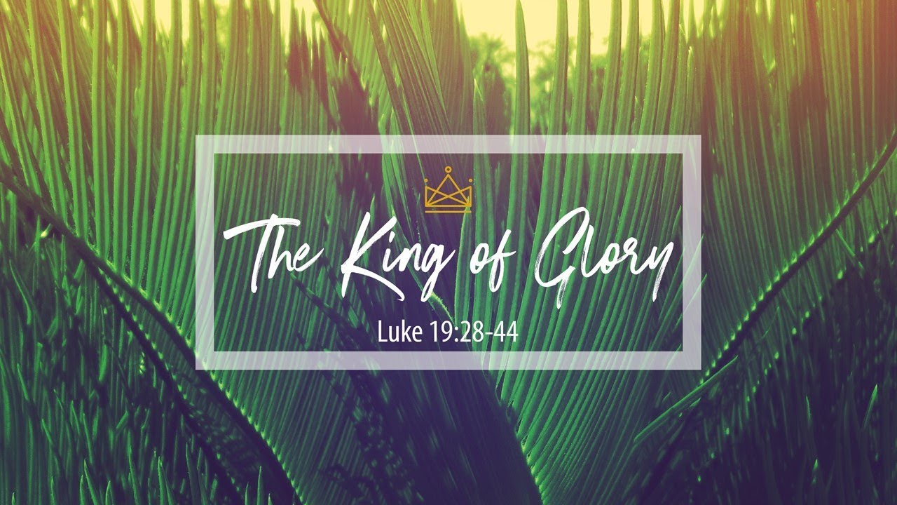Luke 19 28 44 The King Of Glory Matthew Dodd YouTube luke-19-28-44-the-king-of-glory-matthew-dodd-youtube