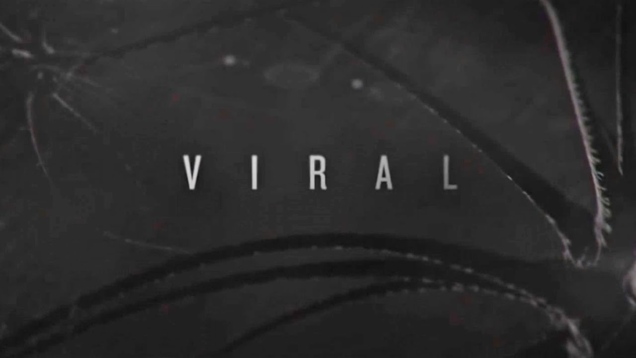 VIRAL (2016) Tráiler Oficial - YouTube