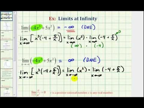Ex: Limits at Infinity of a Polynomial Function - YouTube