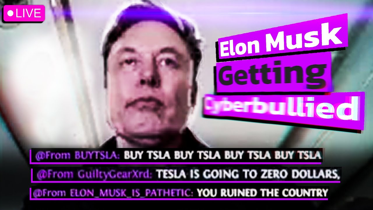 Elon Musk Stream Chat. What Happened? - YouTube