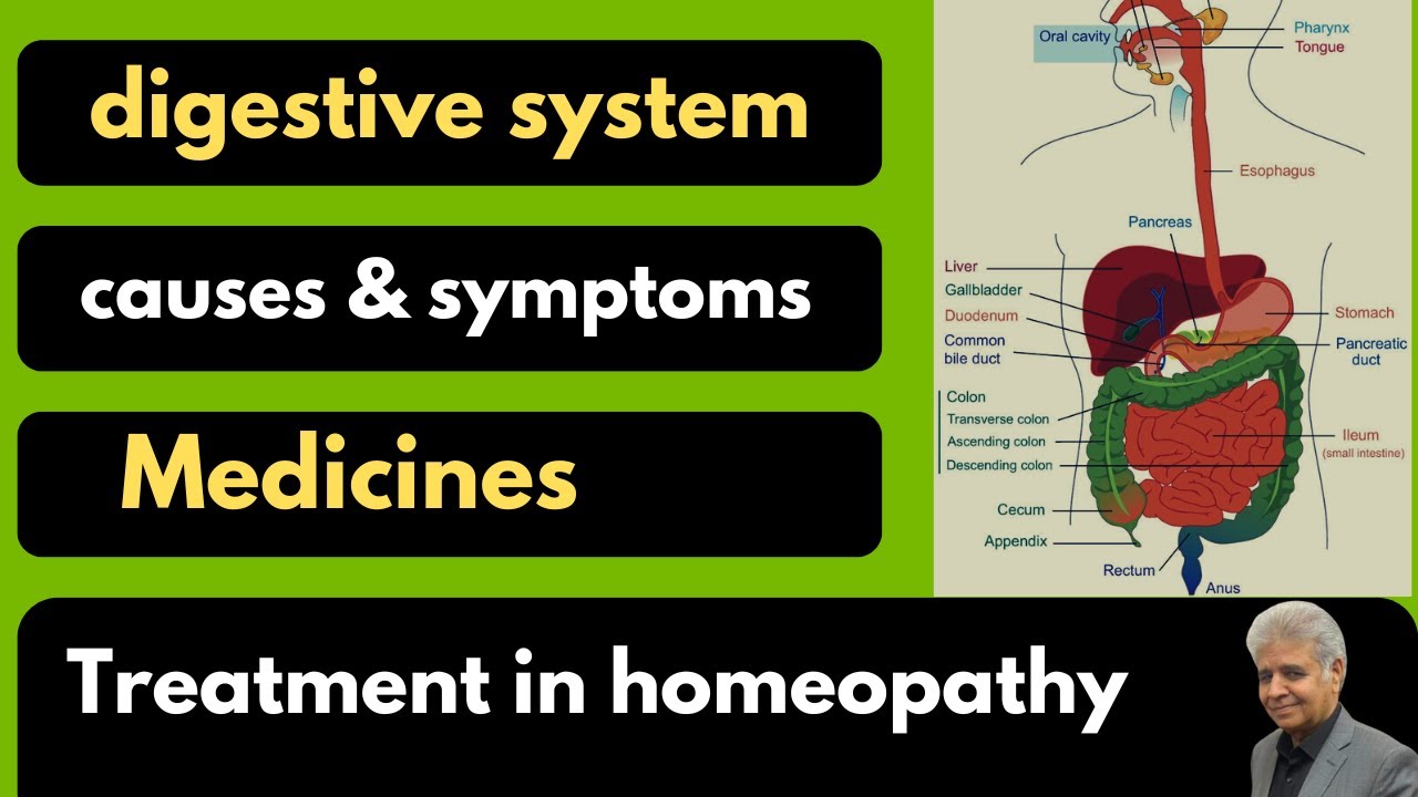 Digestive System Disorders And Homeopathy Dr Ali Muhammad Youtube