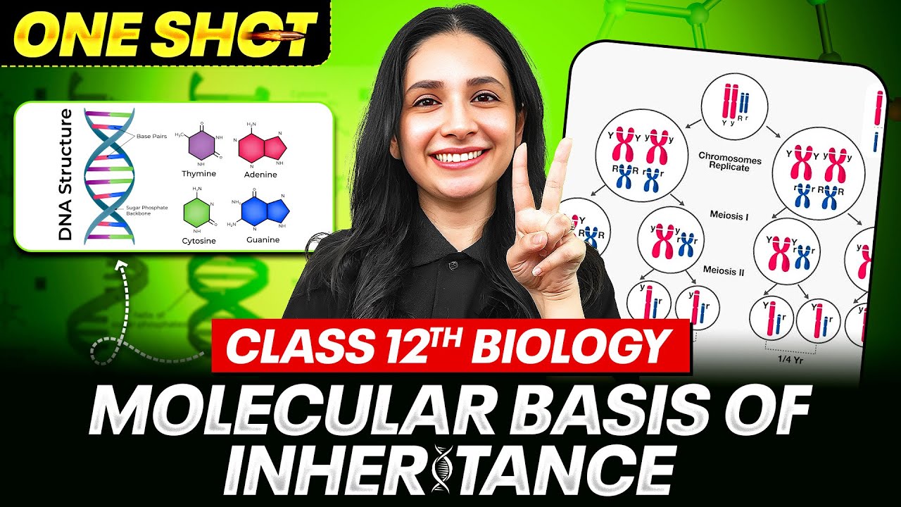 Molecular Basis of Inheritance in One Shot | All Concepts, Tricks ...
