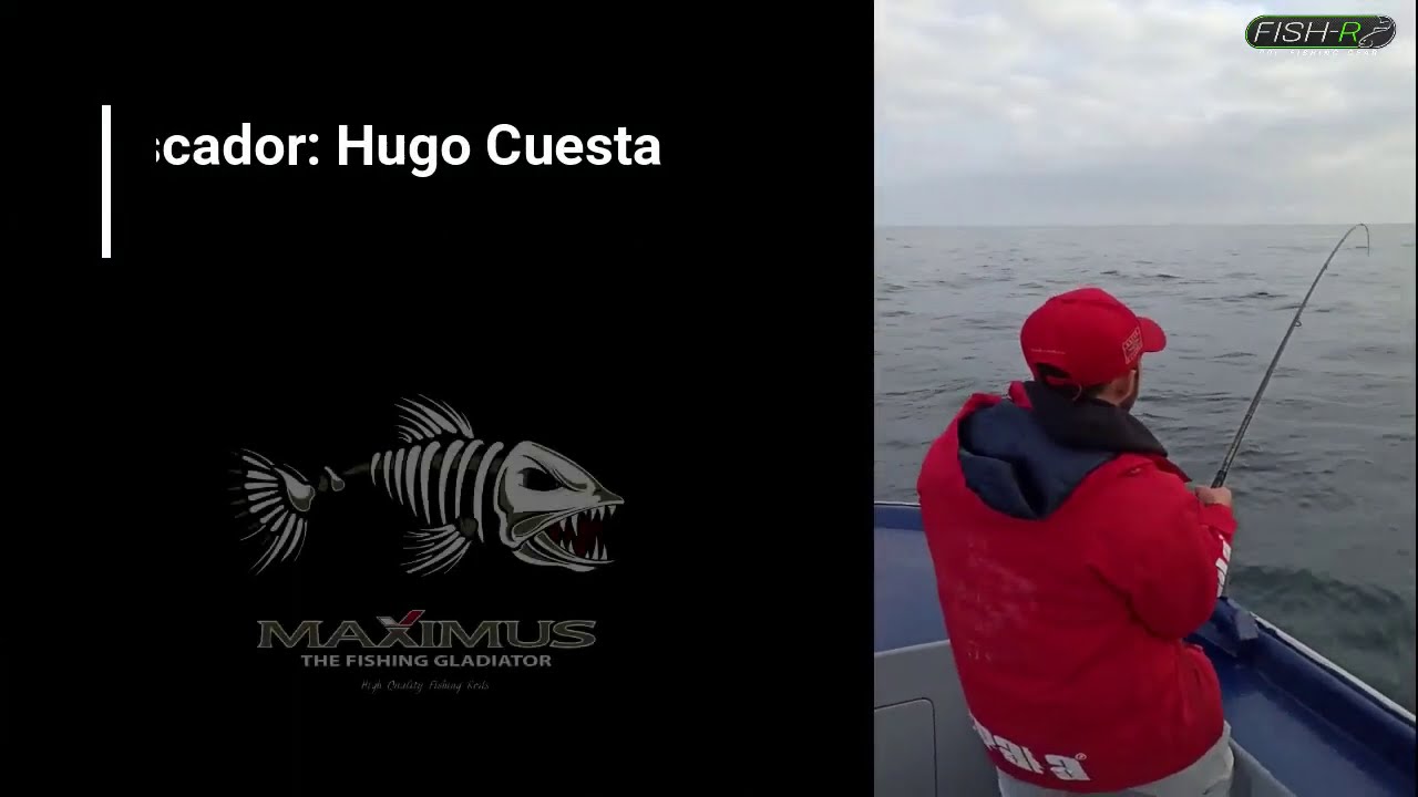Hugo VS Sierra con la Maximus Zircon Jig! - YouTube
