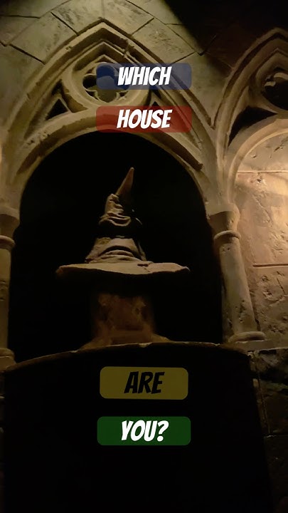 The Sorting Hat at Hogwarts #harrypotter #hogwarts #wizardingworld - YouTube