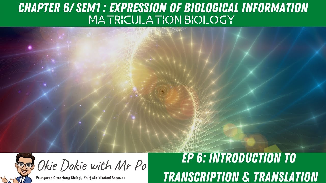 Chapter 6 EP 6 / Sem 1 : Introduction to Transcription & Translation ...
