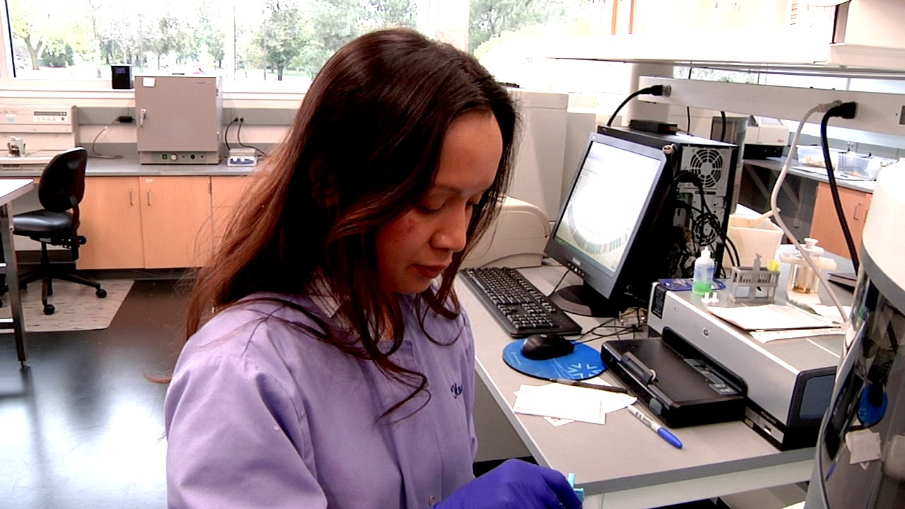 Veterinary And Animal Science Research YouTube Veterinary And Animal Science Research YouTube
