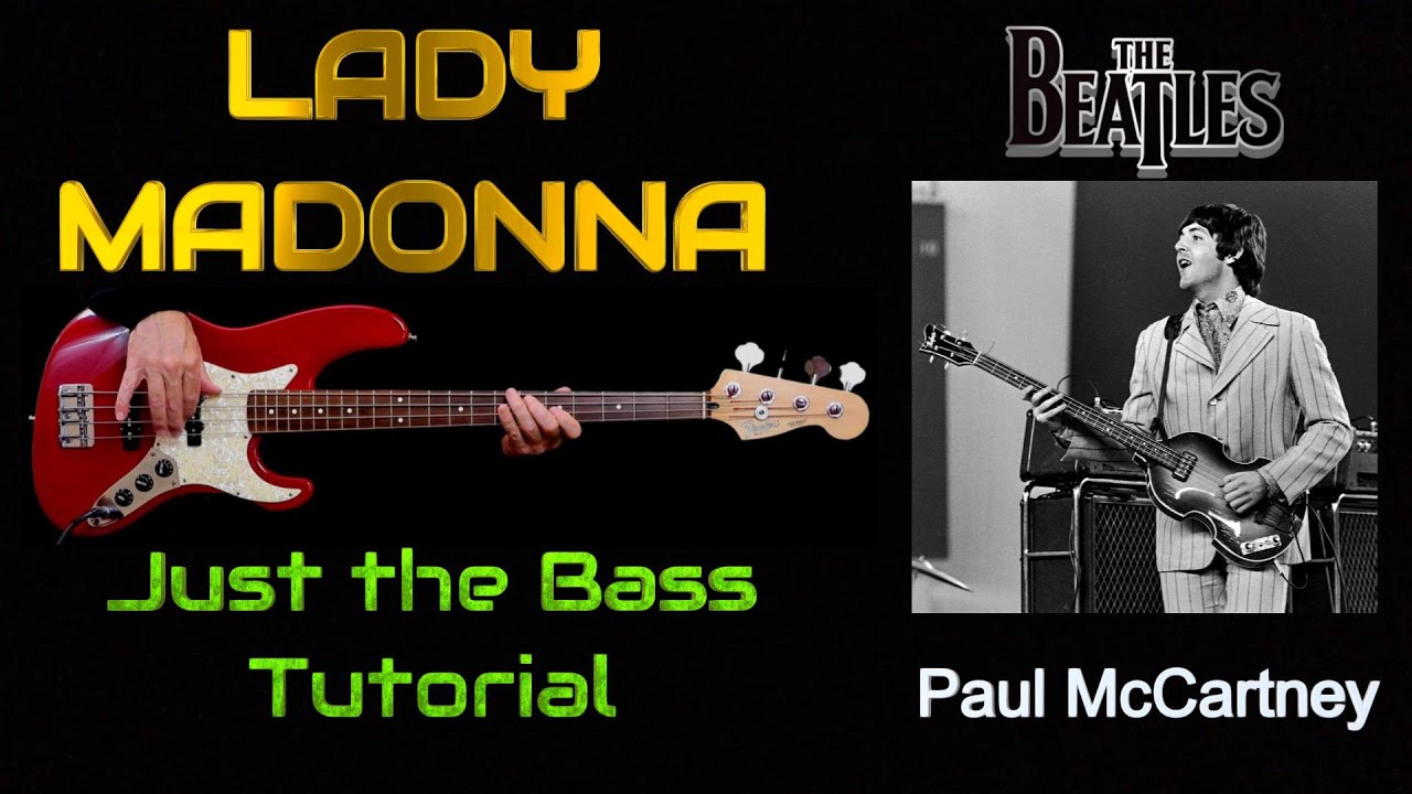 LADY MADONNA @TheBeatles @PaulMcCartney #basscover #basslessons # ...