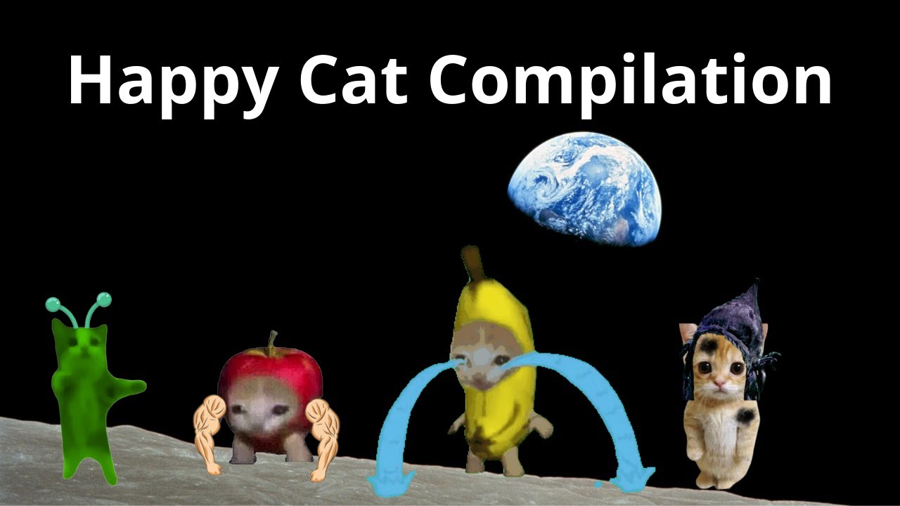 Happy Cat TikTok Compilation 2 - Banana Cat Series - The Cat Adventures ...