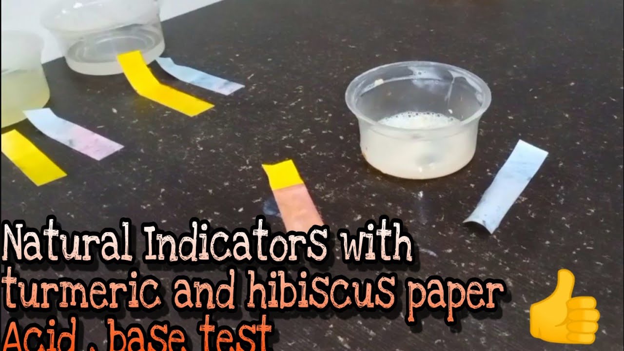Class -10 || chemistry experiment || Acid,base,neutral natural ...