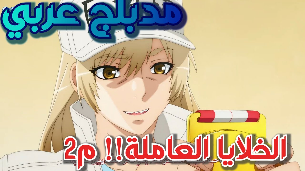 الخلايا العاملة الموسم 2 : مدبلج بالعربية | Cells at Work S2 : Arabic ...