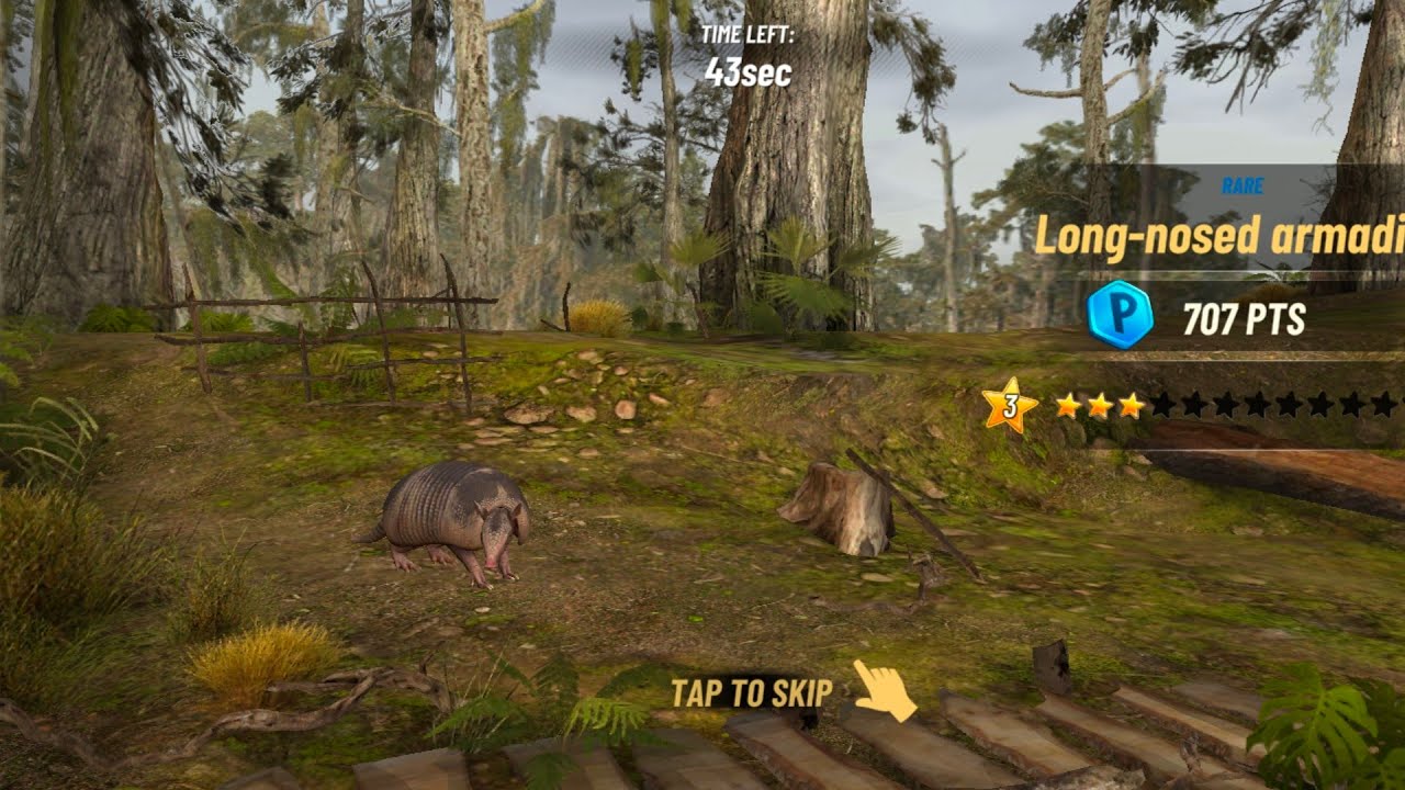 Hunting Clash-Long-nosed Armadillo &Florida Wild Turkey in Everglades ...