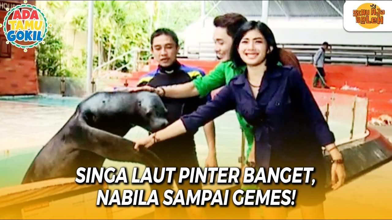 SINGA LAUT PINTER BANGET, NABILA SAMPAI GEMES! | ADA TAMU GOKIL - YouTube