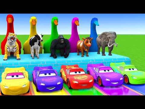 5 Giant Duck Cartoon,Cow,Elephant,Tiger,Dinosaur,Paint Wild Animals Crossing Fountain Animation #107