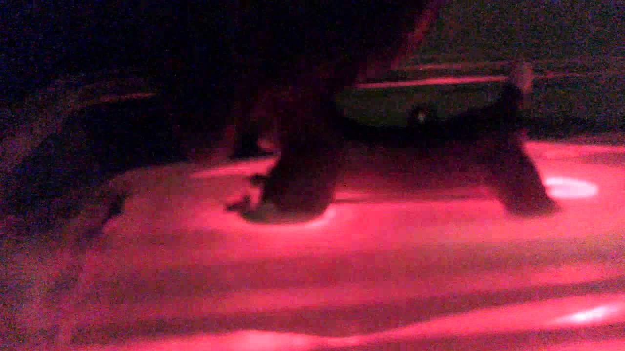 LPS:Musical-Erica Sunn - YouTube