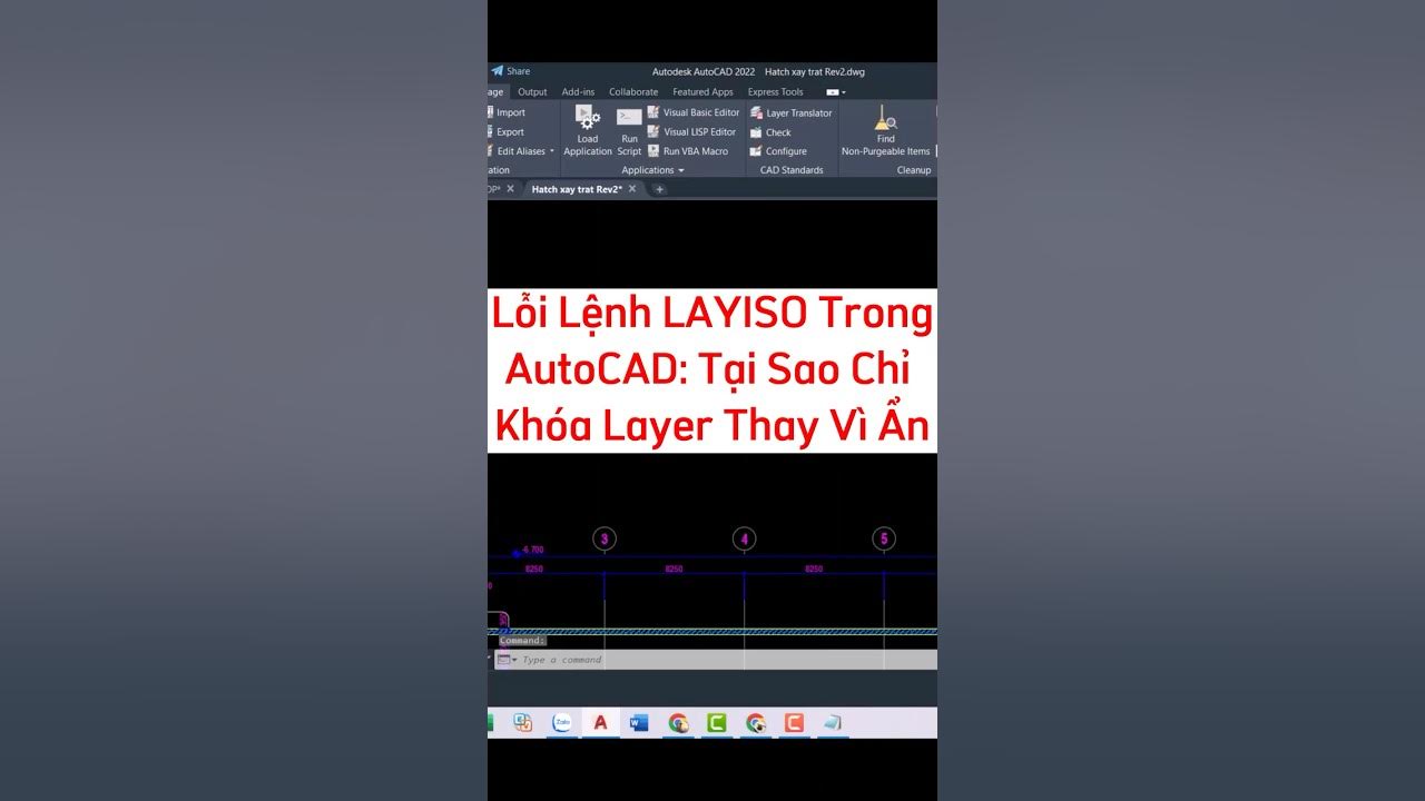 Lỗi Lệnh LAYISO Trong AutoCAD: Tại Sao Chỉ Khóa Layer Thay Ẩn? #autocad - YouTube