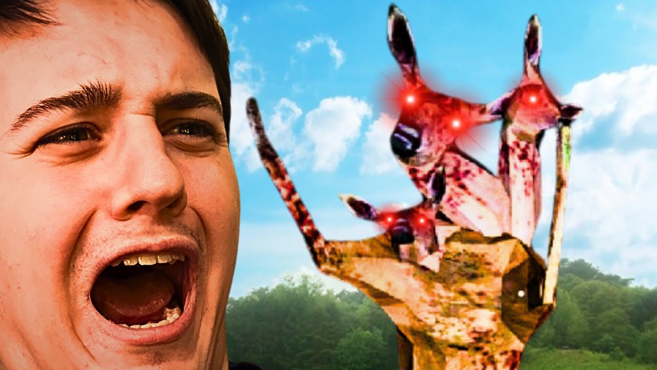 THIS DEER IS COMING BACK FOR REVENGE | Deer - YouTube