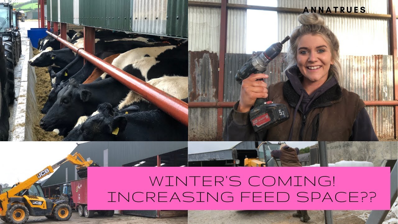 INCREASING FEED SPACE WITH SILAGE BUNKERS // annatrues - YouTube