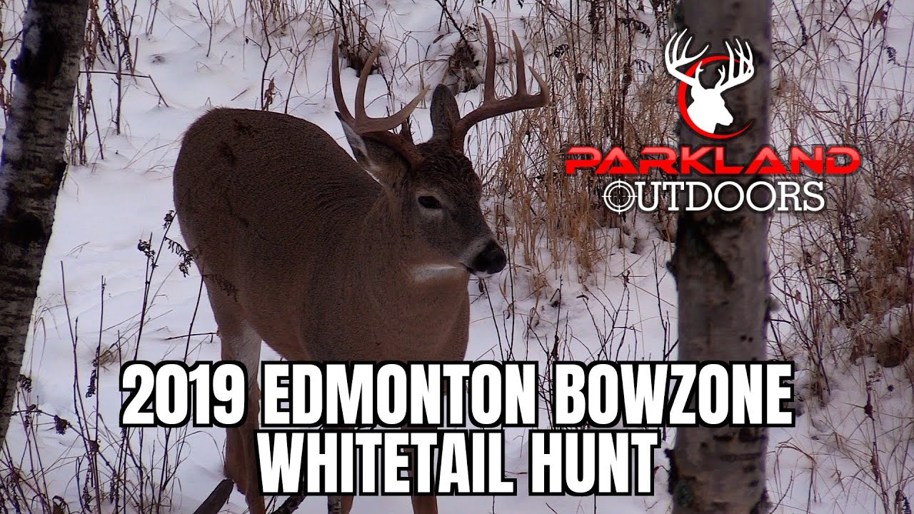 2019 Edmonton Bowzone Whitetail Hunt - Parkland Outdoors - YouTube
