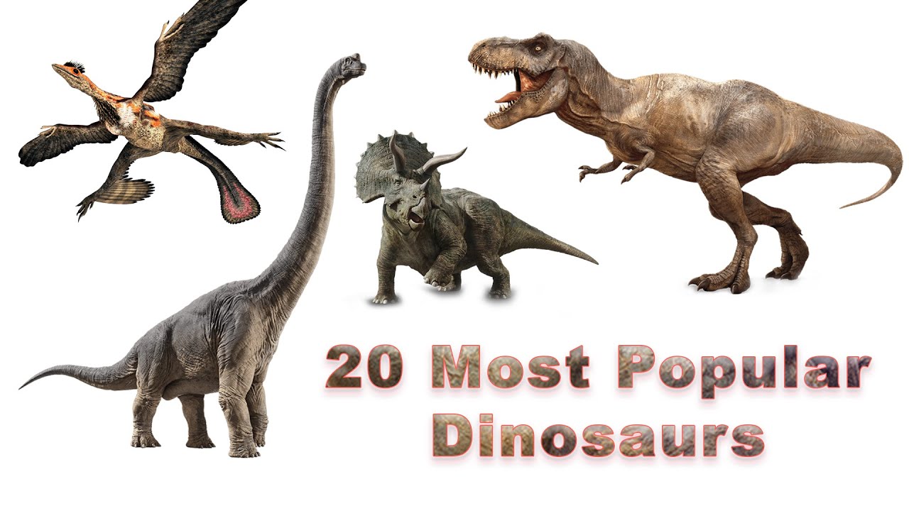 20 Most Popular Dinosaurs for Kids and Toddlers to learn - YouTube