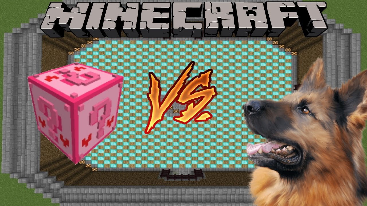 WILD DOG - LUCKY BLOCK SURVIVAL - MINECRAFT 1.15.2 (MODDED MINI-GAME ...