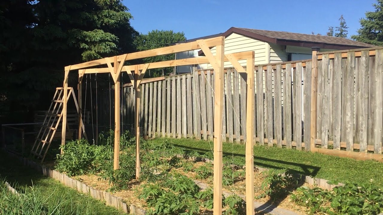 Making a Tomato Trellis with pallet wood - YouTube