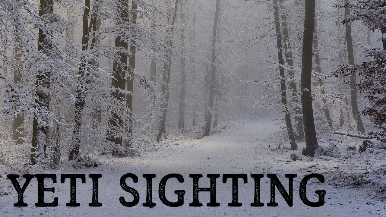 A Yeti Sighting - YouTube