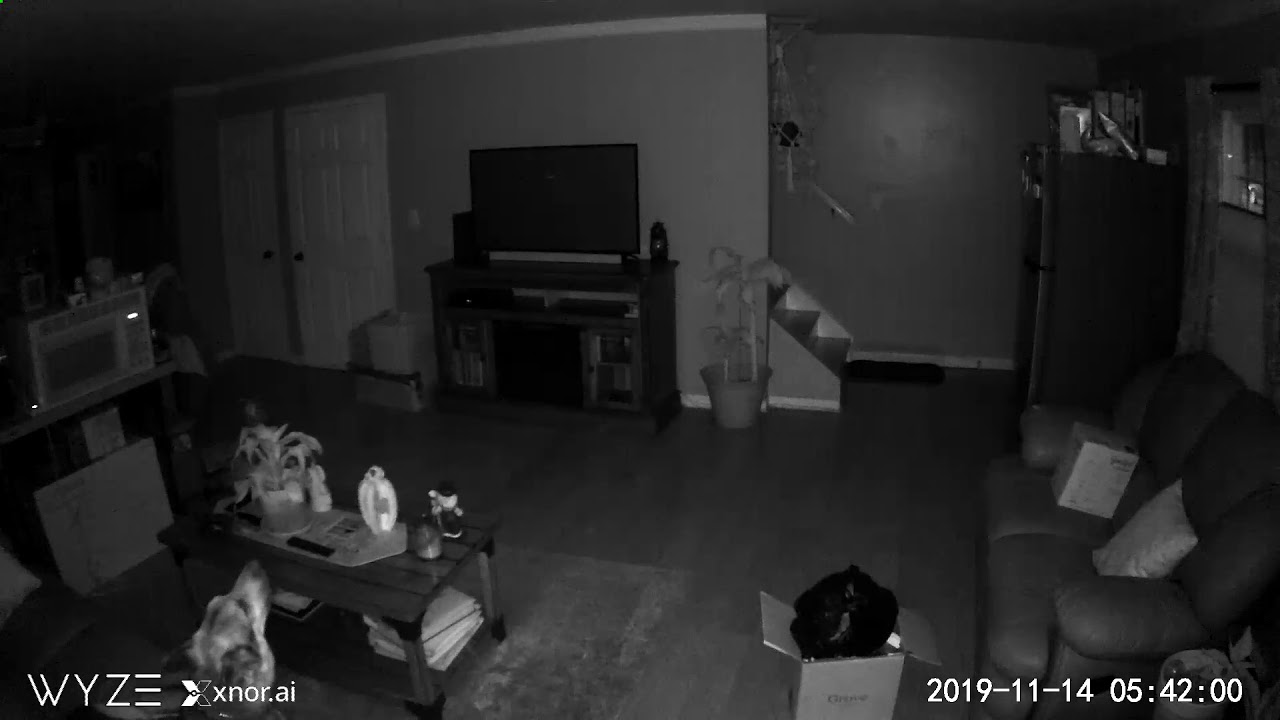 Floating Orbs caught on camera - YouTube