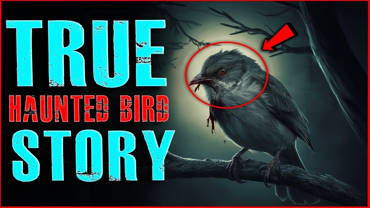 Scary Bird Stories That Will Give You NIGHTMARES! || Horror Scary Bird ...