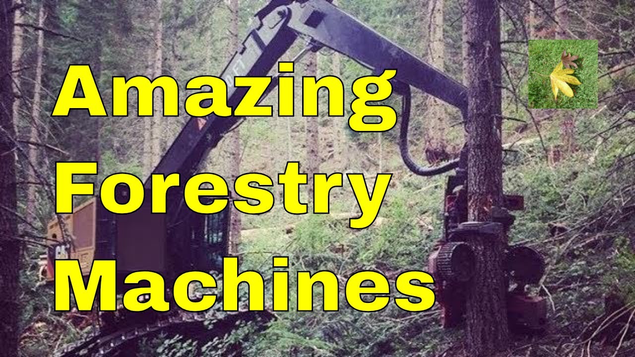 Amazing forestry machines compilation - YouTube