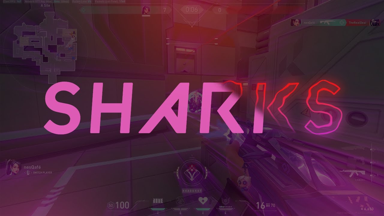 Sharks 🦈 (Valorant Montage) - YouTube