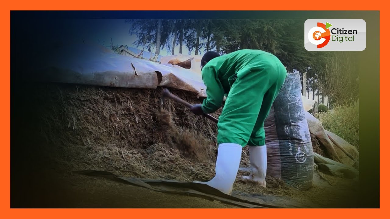 | SMART FARM |Farmers in Baringo embrace fodder preservation techniques ...