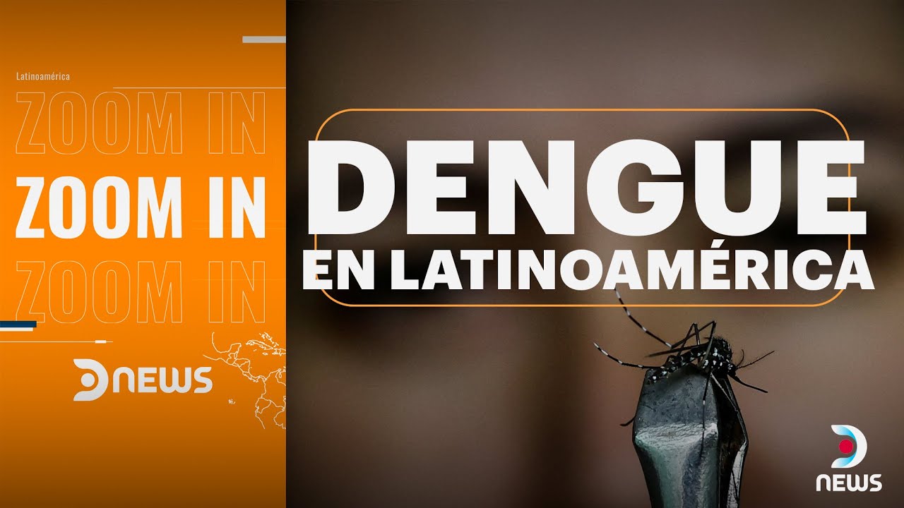 Dengue en Latinoamérica: una epidemia silenciosa - Zoom In #DNEWS - YouTube