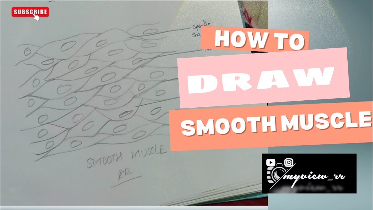HOW TO DRAW SMOOTH MUSCLE|intermediaterecord|Followfor more| @myview_rr ...