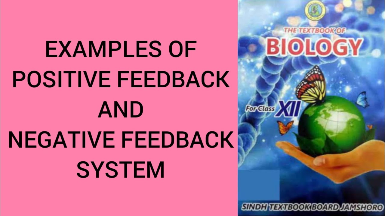 Examples Of Positive And Negative Feedback (LEC#04) Book Examples ...